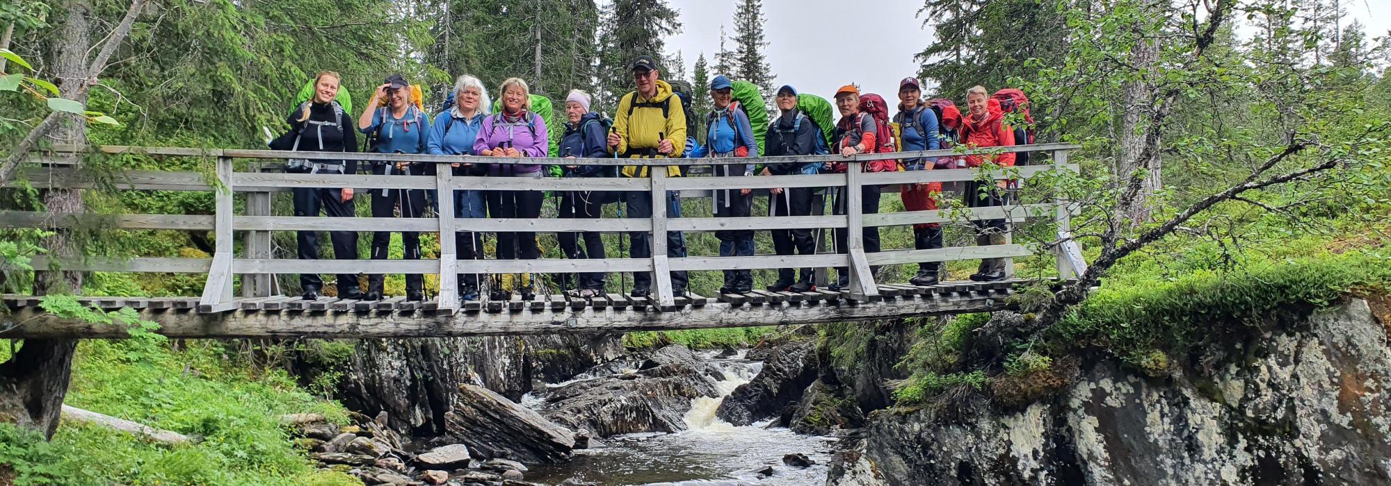 Turer og aktiviteter med Skarven Turlag og Veteranan Skarven - DNT