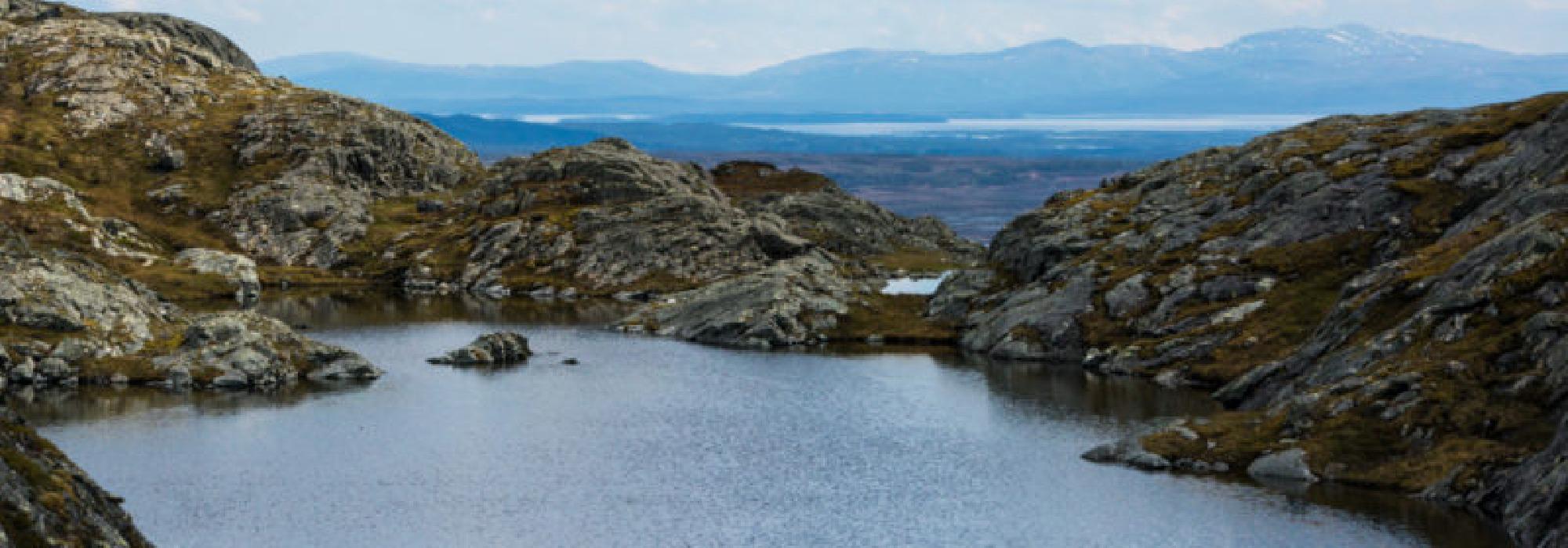 Turer og aktiviteter med Skarven Turlag og Veteranan Skarven - DNT