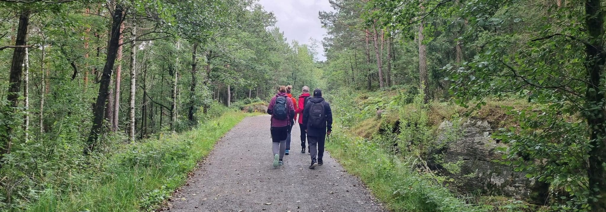 Aktivitetskalender - DNT