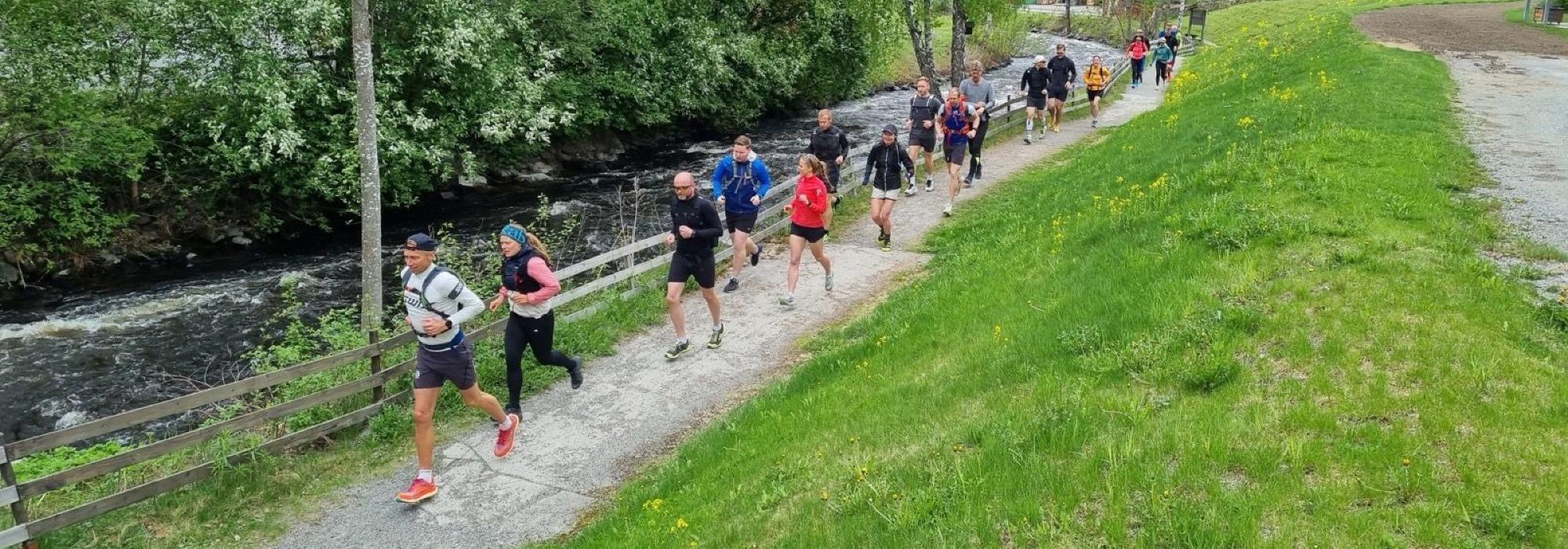 Aktivitetskalender - DNT