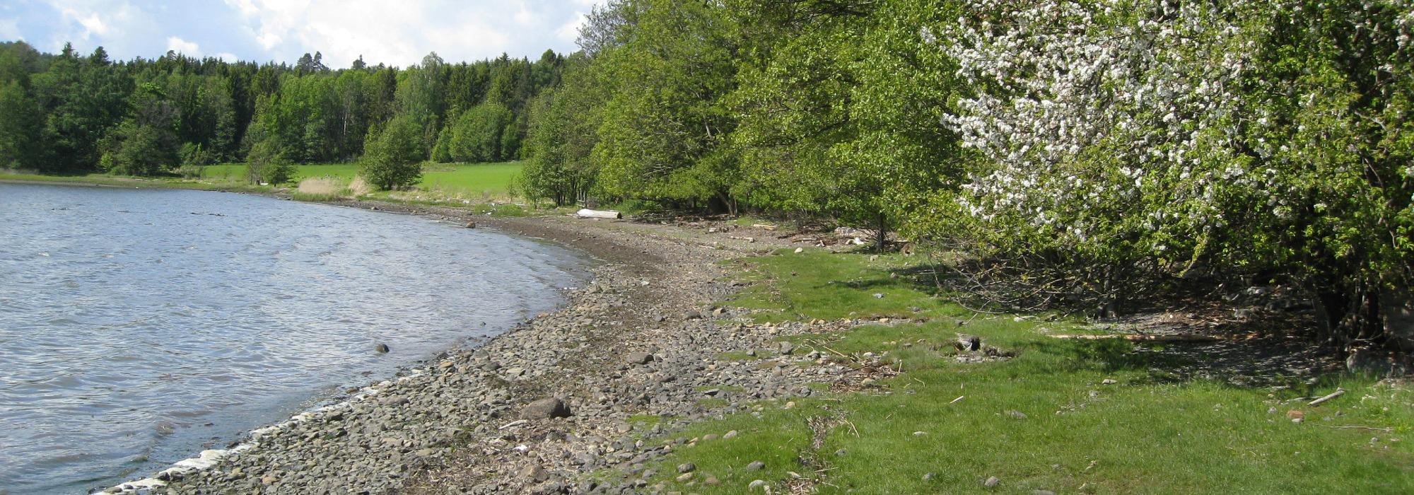 Aktivitetskalender - DNT