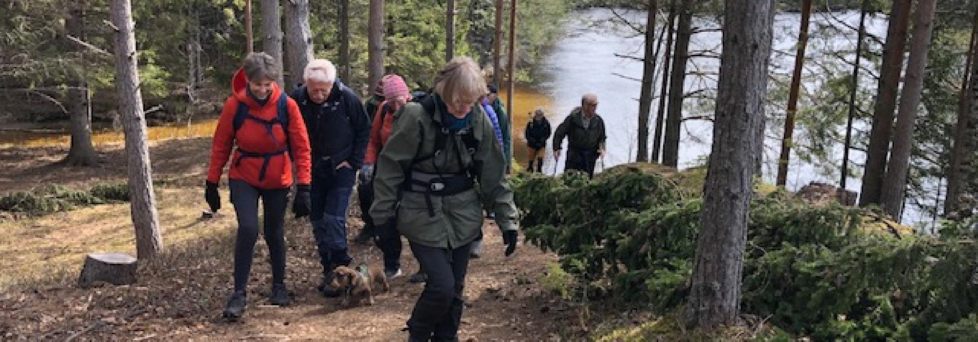 Aktivitetskalender - DNT