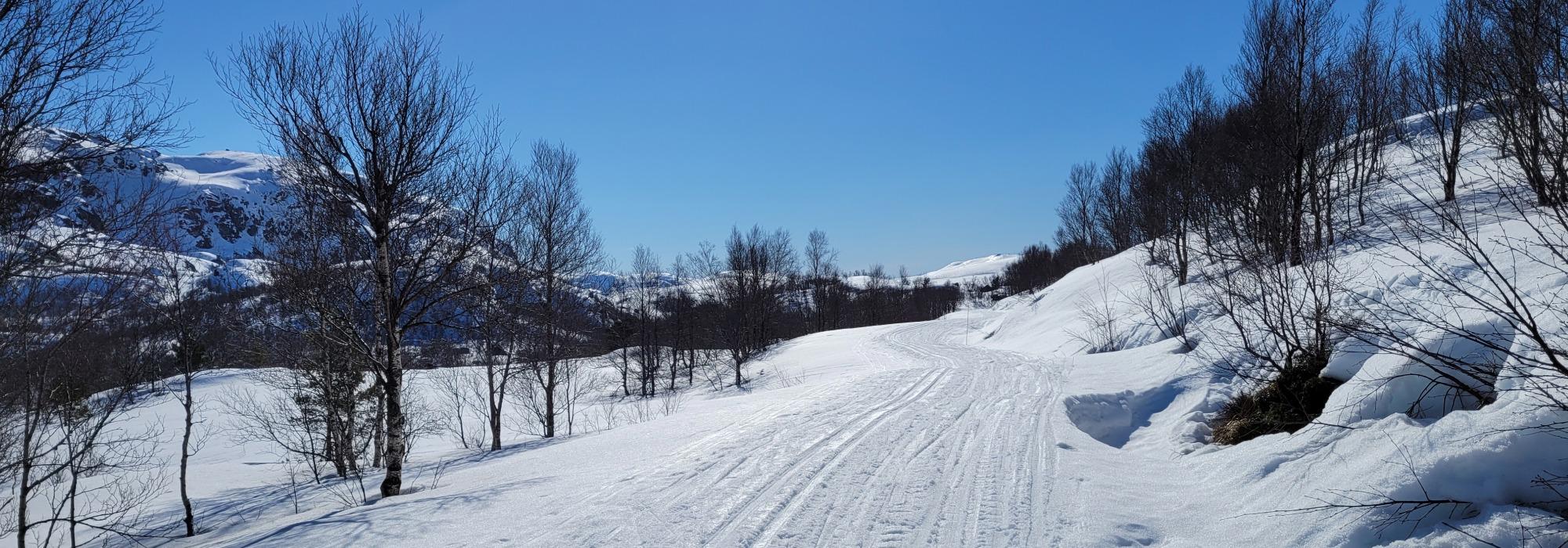 Aktivitetskalender - DNT